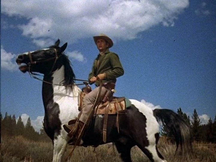 Little Joe Cartwright | The Parody Wiki | Fandom