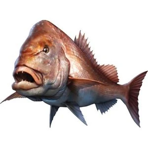 Snapper | The Parody Wiki | Fandom