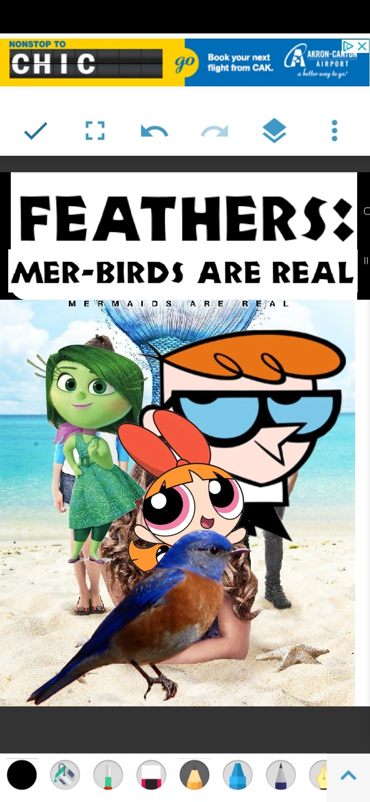 Feathers: Mer-Birds Are Real | The Parody Wiki | Fandom