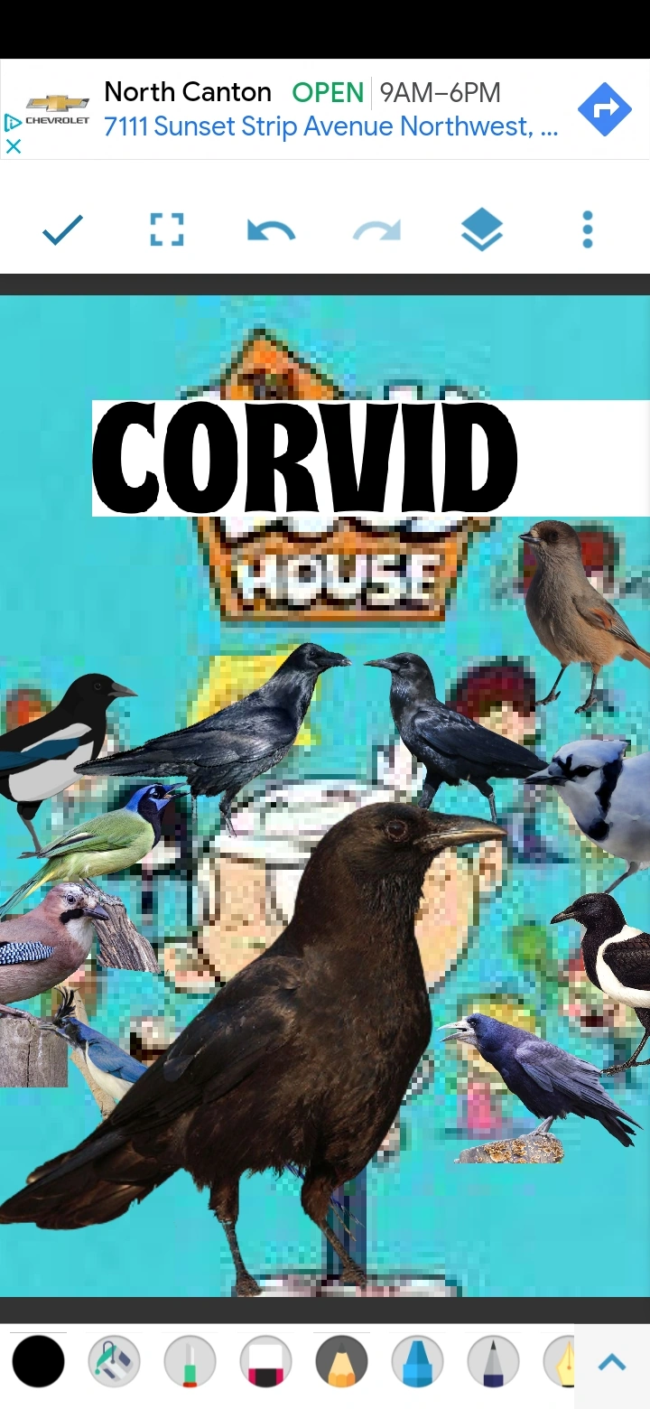 The Corvid House | The Parody Wiki | Fandom