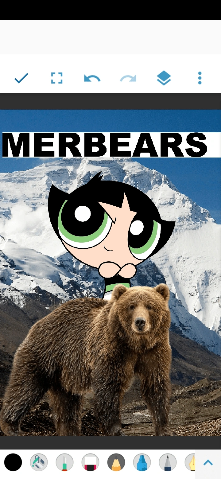 MerBears (2003) | The Parody Wiki | Fandom
