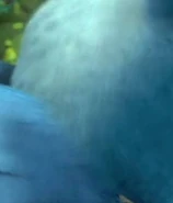 Mimi (Rio 2) | The Parody Wiki | Fandom