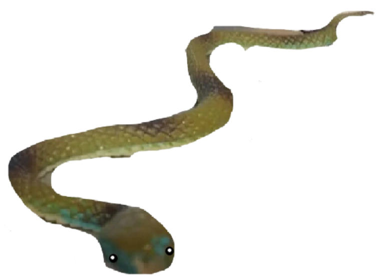 Snakey | The Parody Wiki | Fandom