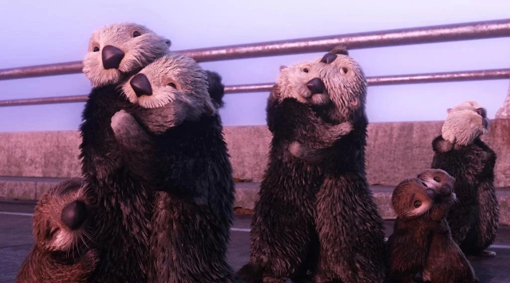Otters (Finding Dory) | The Parody Wiki | Fandom