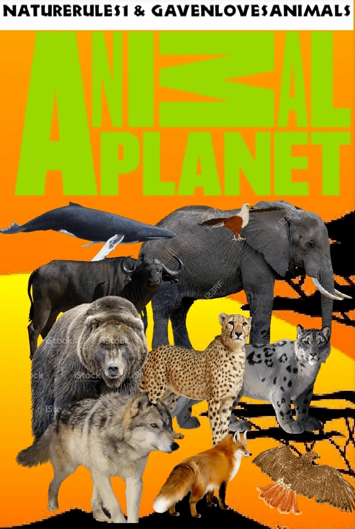 Animal Planet (NatureRules1 and GavenLovesAnimals Style) | The Parody ...
