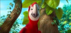 Rio 2 Felipe