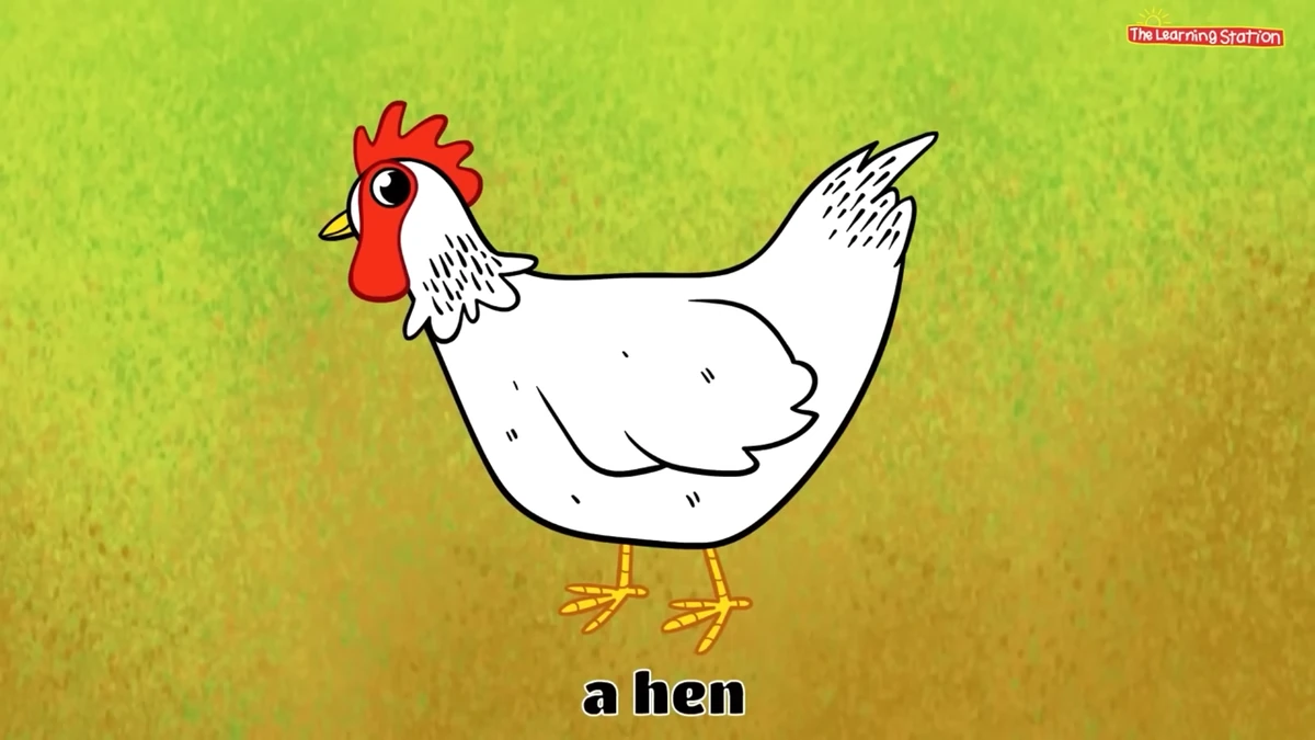 Hen (The Learning Station) | The Parody Wiki | Fandom