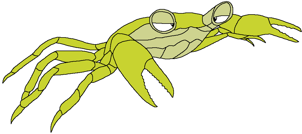 Crawlsnap | The Parody Wiki | Fandom