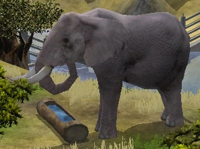 List of Species in Wildlife Park | The Parody Wiki | Fandom