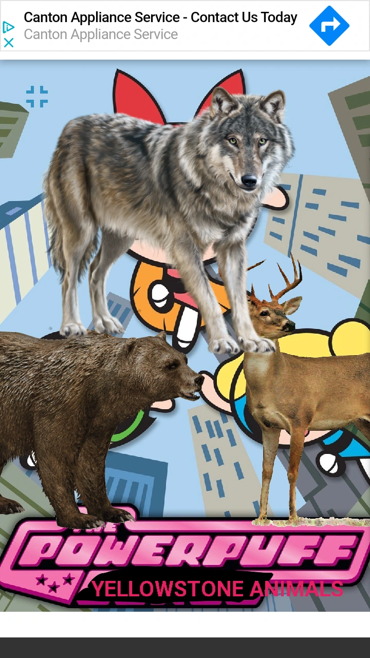 The Powerpuff Yellowstone Animals | The Parody Wiki | Fandom