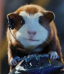Darwin (G-Force) | The Parody Wiki | Fandom