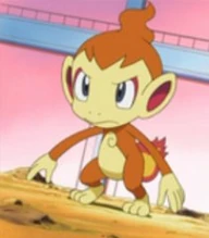 Chimchar | The Parody Wiki | Fandom