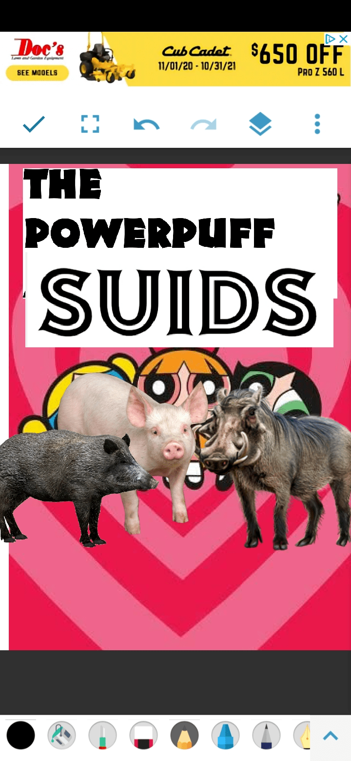 The Powerpuff Suids The Parody Wiki Fandom