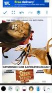 Open Season (NatureRules1 and GavenLovesAnimals Style) | The Parody ...