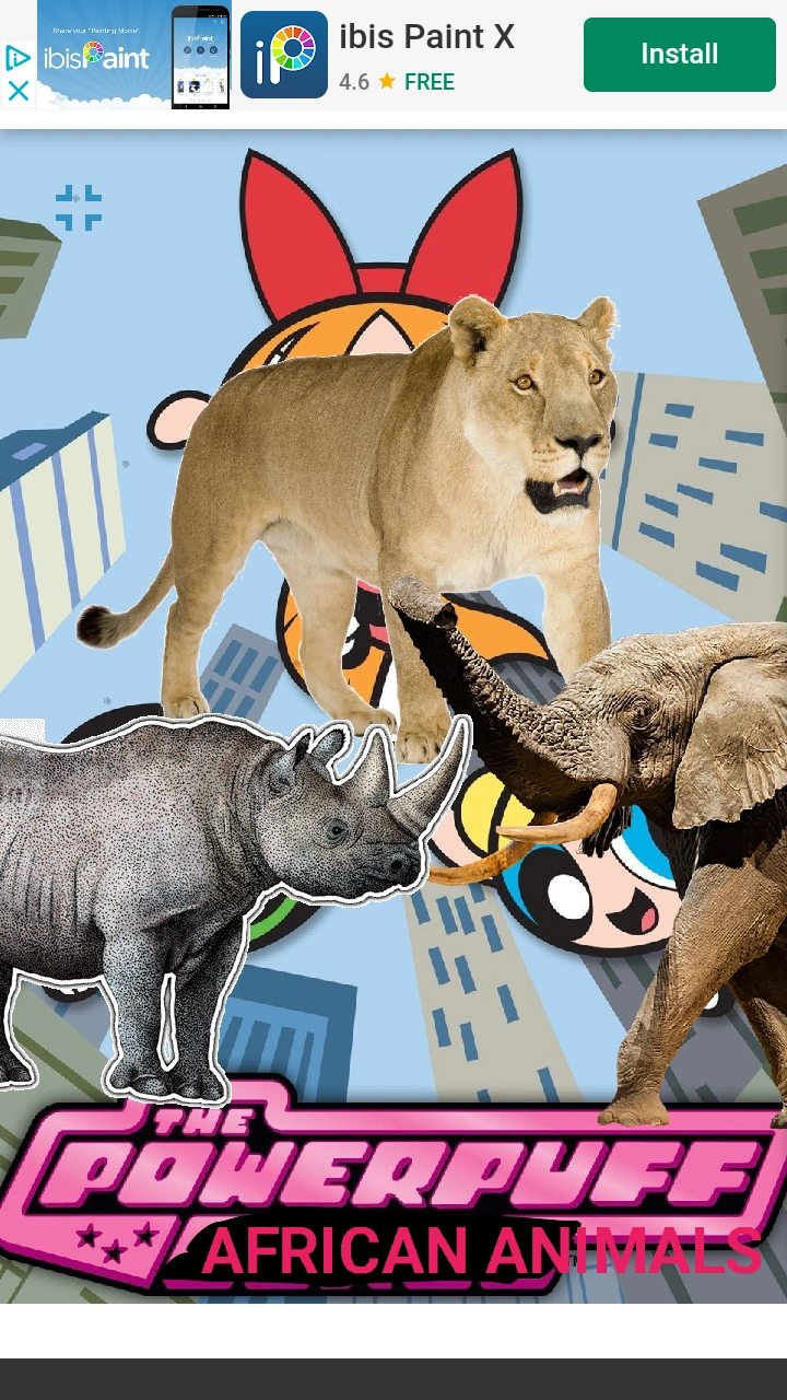 The Powerpuff African Animals | The Parody Wiki | Fandom