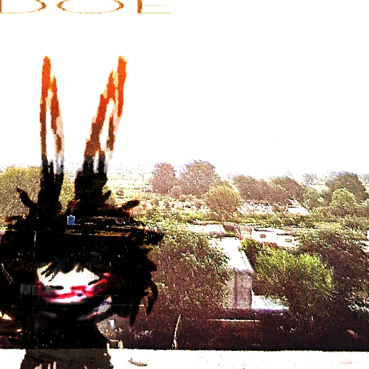 Doe | Parpa Wiki | Fandom