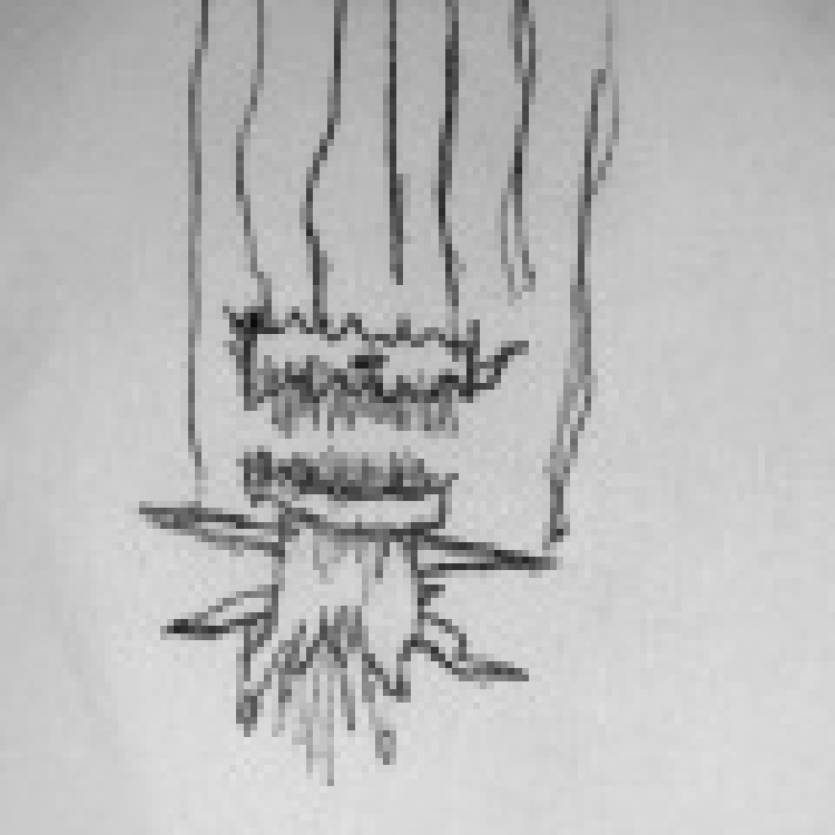 Characters | Parpa Wiki | Fandom