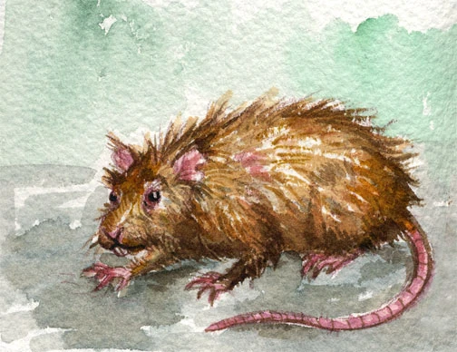 Scabbers | Parselmouth of Gryffindor Wiki | Fandom