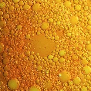 Ono | Particle-multiverse Wiki | Fandom