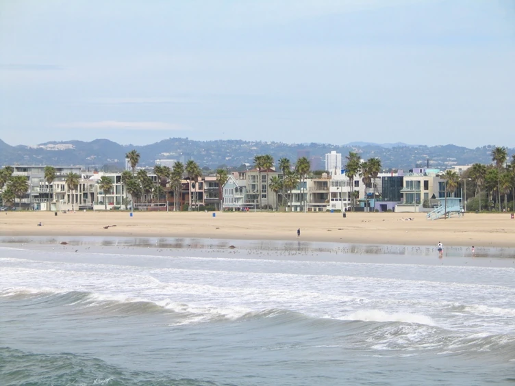 Moete | Particracy Wiki | Fandom