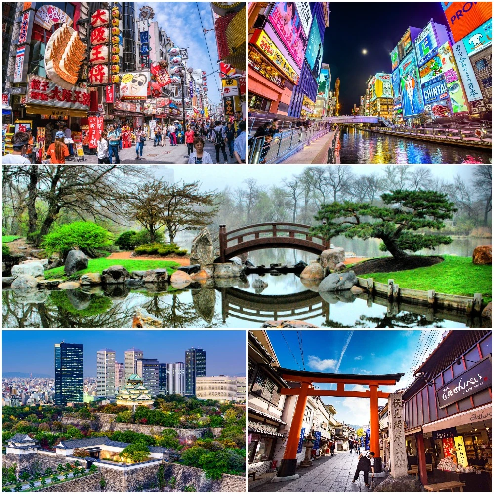 Kitashuto | Particracy Wiki | Fandom