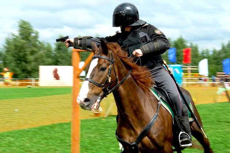 Military of Pontesi | Particracy Wiki | Fandom