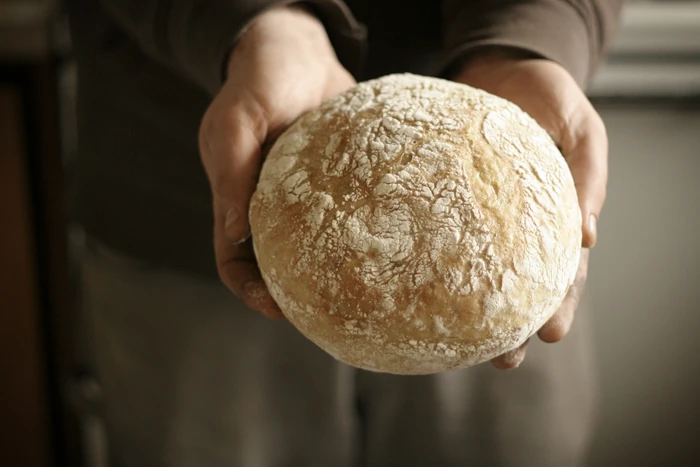 Sol | Particracy Wiki | Fandom