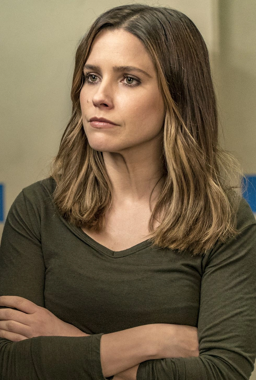 Erin Lindsay | Partners Jay Halstead Fanfiction Wiki | Fandom