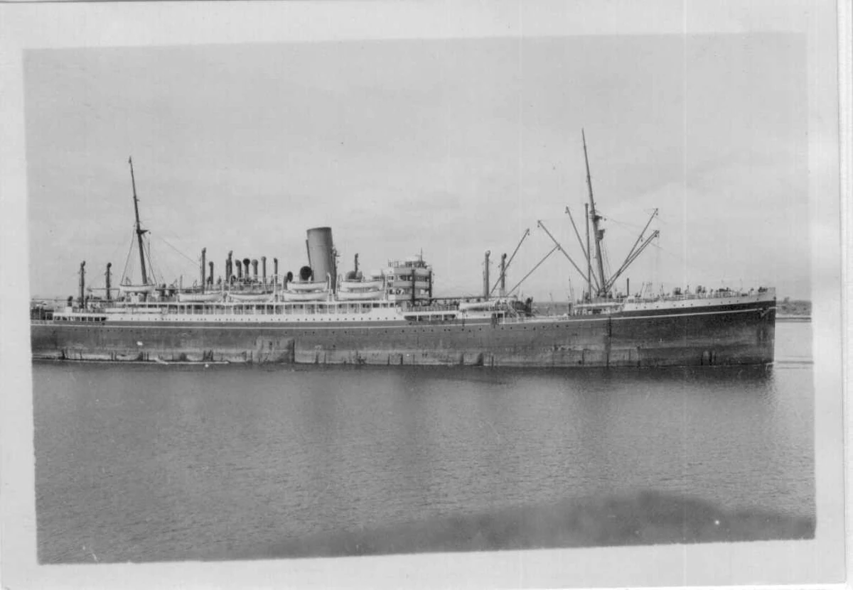 SS Hobson's Bay | Passenger-ships-and-liners Wiki | Fandom