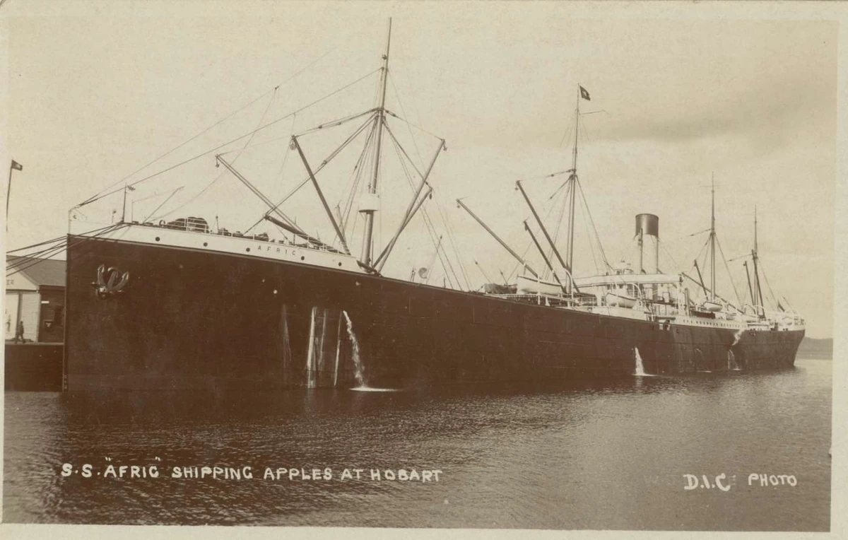 SS Afric | Passenger-ships-and-liners Wiki | Fandom