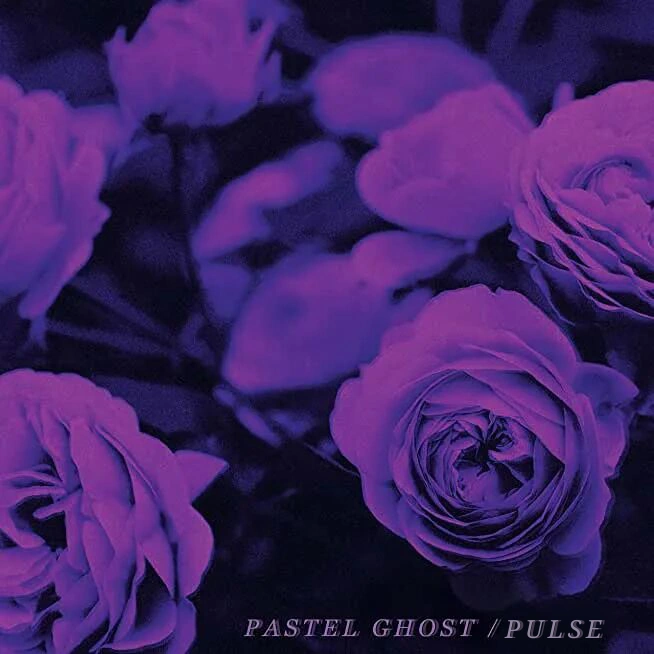 Pulse | Pastel Ghost Wiki | Fandom
