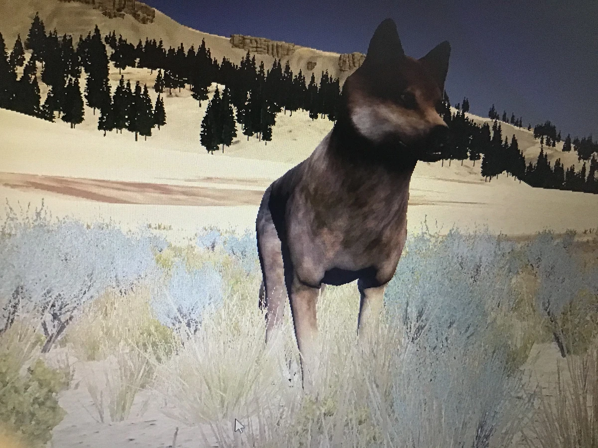 Slope | Pastry Pack Wiki | Fandom