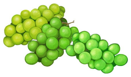 Muscat Grapes | Dessert Shop ROSE Wiki | Fandom