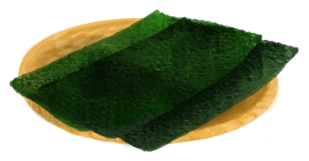 Nori | Dessert Shop ROSE Wiki | Fandom