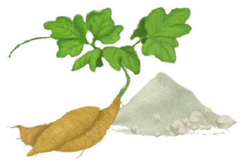 Kudzu Starch | Dessert Shop ROSE Wiki | Fandom