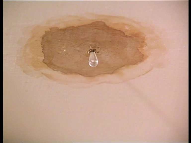 Roof | Pat and Mat Wiki | Fandom