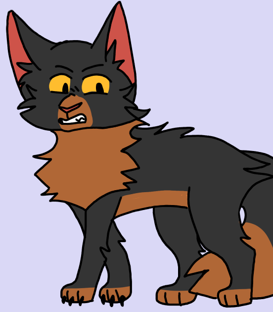 Jaypaw (DC) | Path of Stars Wiki | Fandom