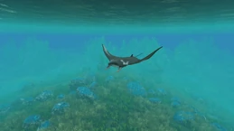 Mantaray | Path of Titans Wiki | Fandom