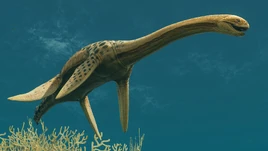 Aquatics | Path of Titans Wiki | Fandom