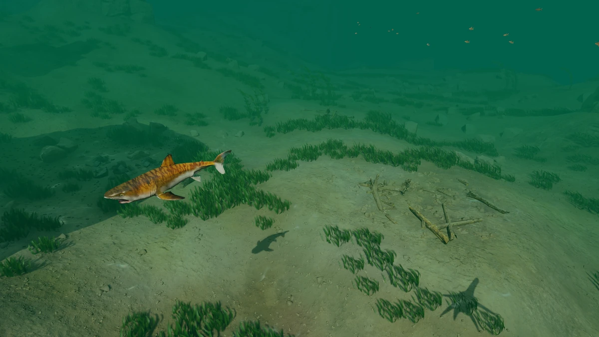 Kelp Shark | Path of Titans Wiki | Fandom