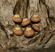 Food | Path of Titans Wiki | Fandom