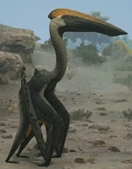 Hatzegopteryx | Path of Titans Wiki | Fandom