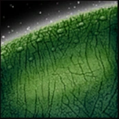 Ampelosaurus (Divine Beasts) | Path of Titans Wiki | Fandom