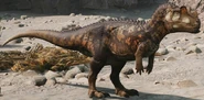 Ceratosaurus | Path of Titans Wiki | Fandom