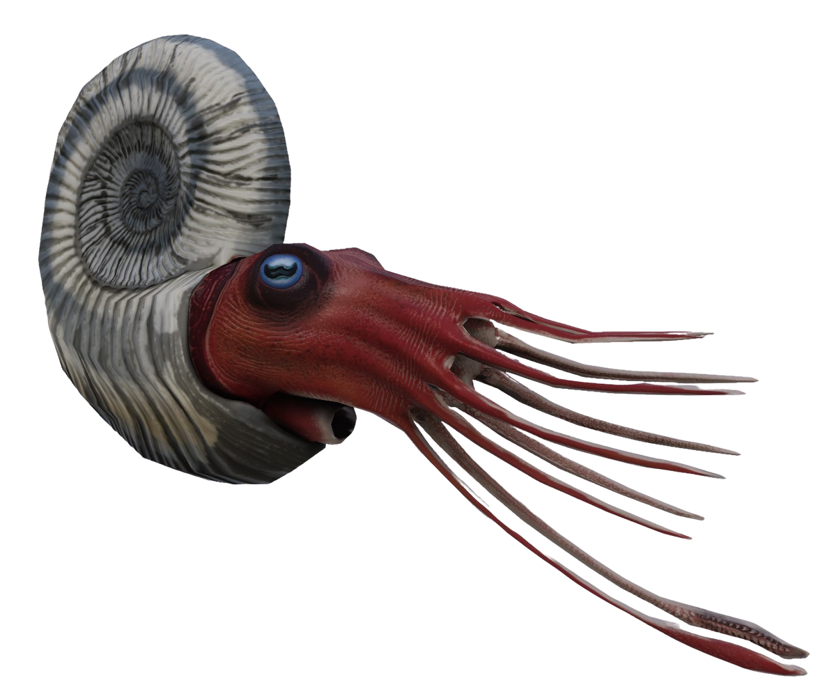 Ammonite Path Of Titans Wiki Fandom