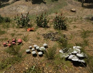 Food | Path of Titans Wiki | Fandom