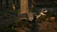 Ceratosaurus | Path of Titans Wiki | Fandom