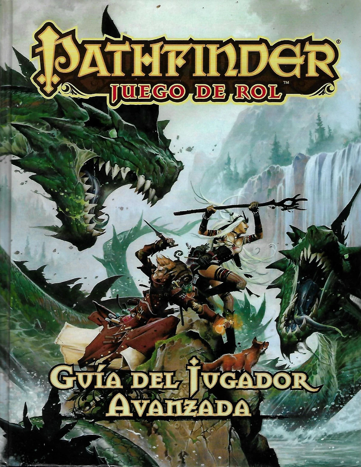 Guía del jugador avanzada | Pathfinder es Wiki | Fandom