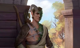 Companions | Pathfinder: Wrath of the Righteous Wiki | Fandom