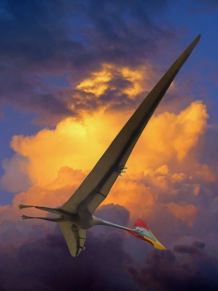 Quetzalcoatlus | Pathfinder Wiki | Fandom
